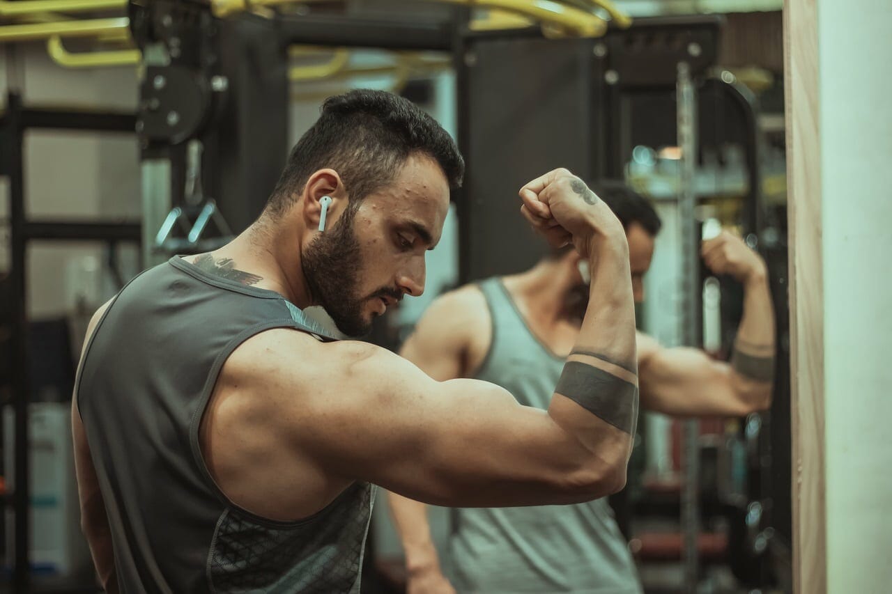The effects of steroid on the body: Receptors and transcriptional ...